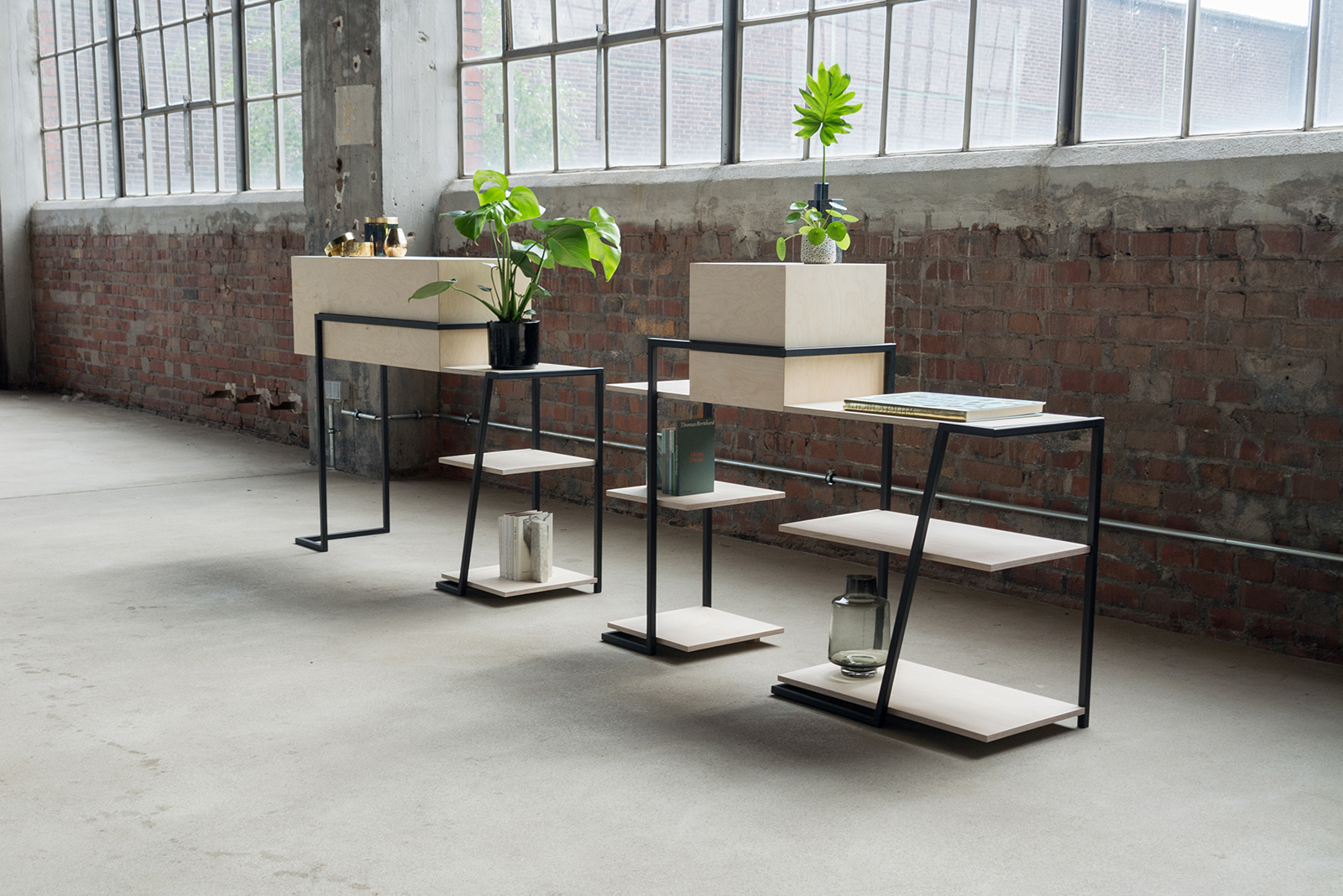 Anja Bachmann | Linea