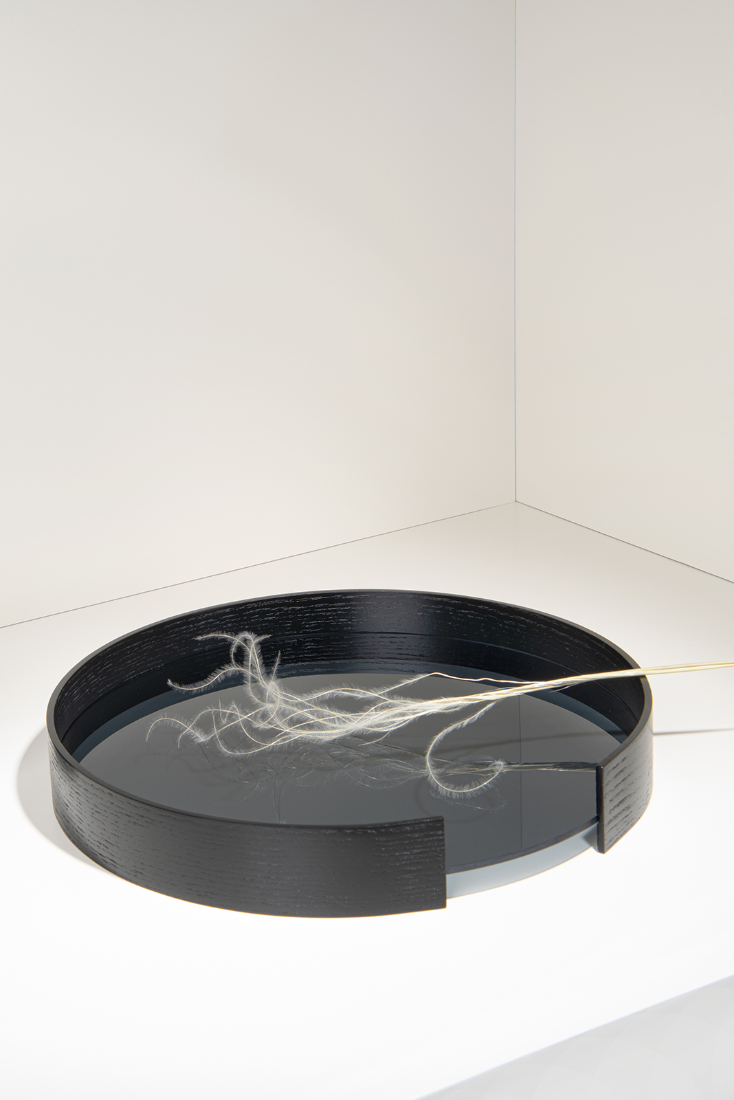 Anja Bachmann | Loop