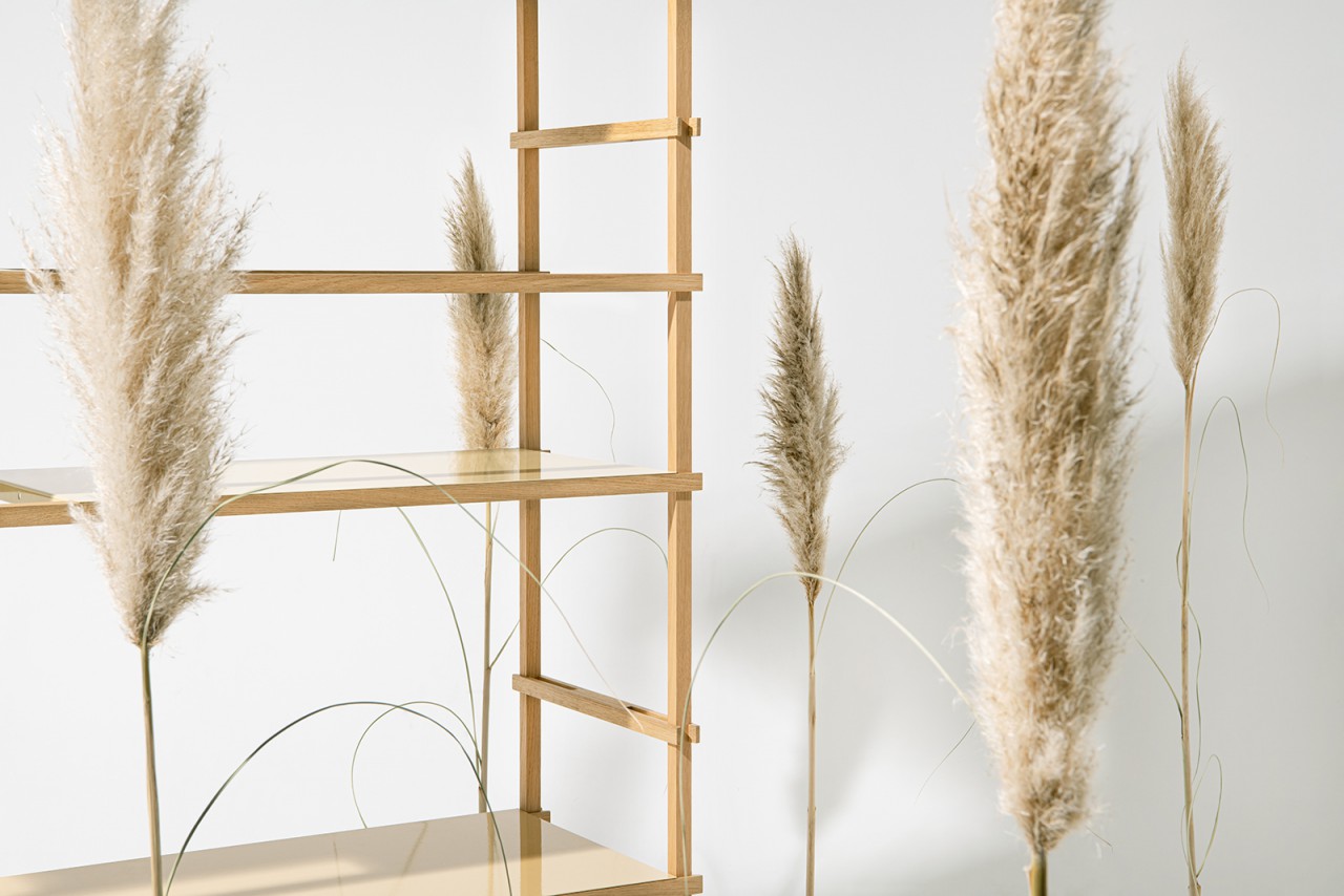 Anja Bachmann | Tongs