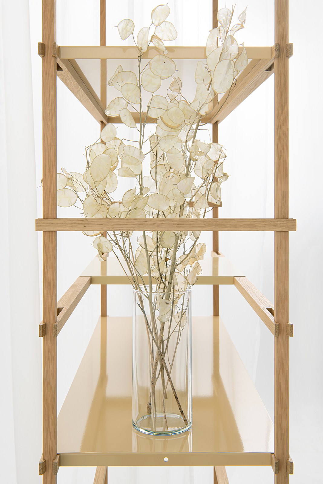 Anja Bachmann | Tongs